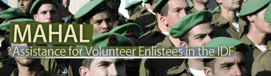 Israel and Stuff » IDF Volunteers – or – Sar-El (for all ages)Israel ...
