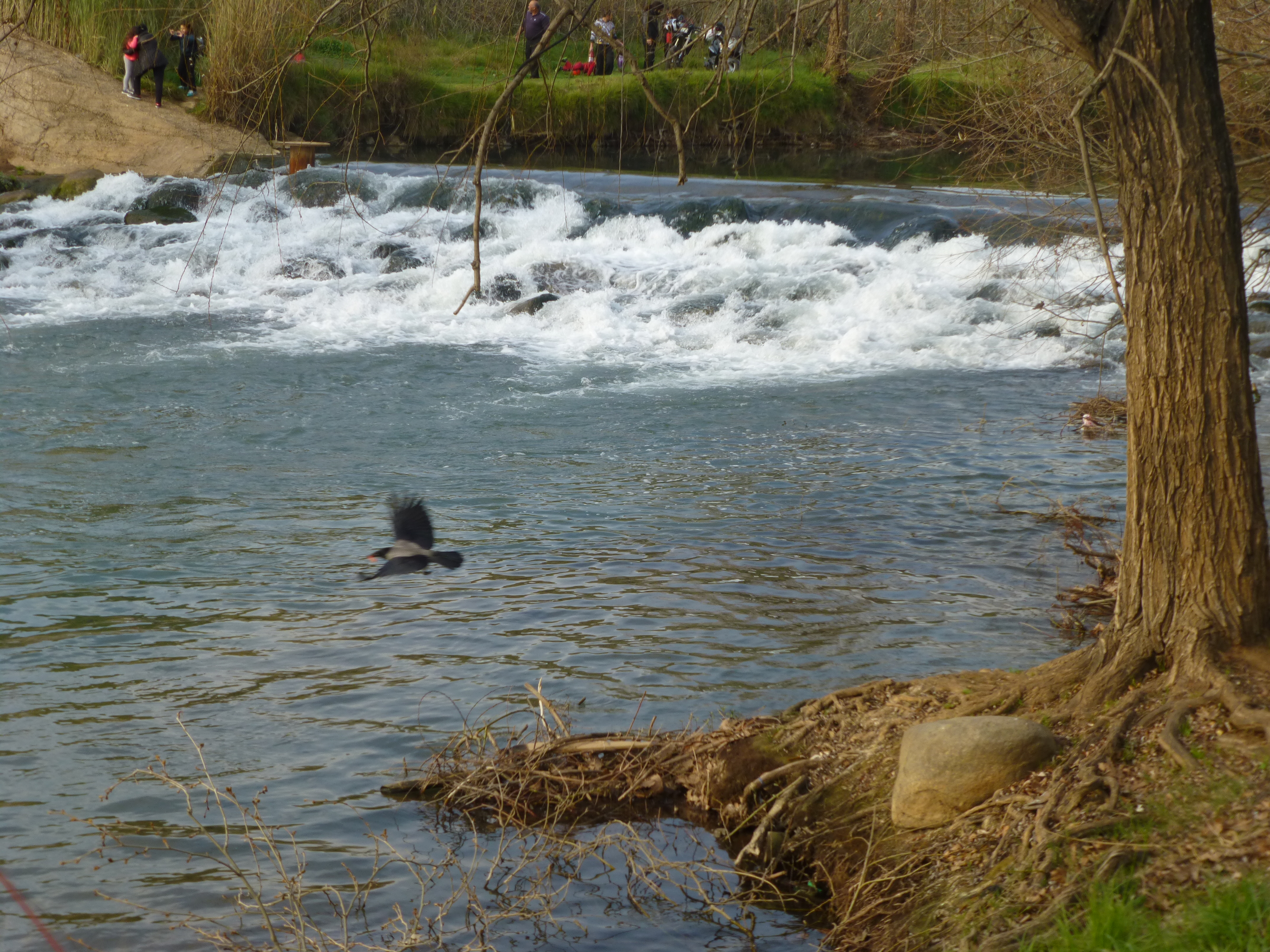 Israel and Stuff » Israel & Jordan launch joint Jordan River industrial ...