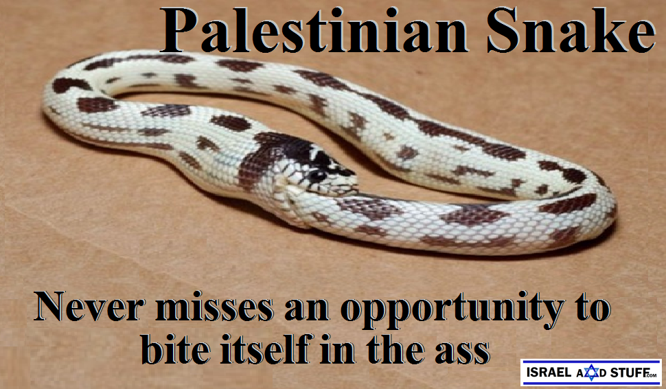 Israel and Stuff » Palestinian Official: ‘Israel stole our snake’Israel ...