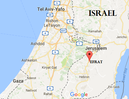 Israel and Stuff » NGO against road needed for additional 2,500 Jewish ...