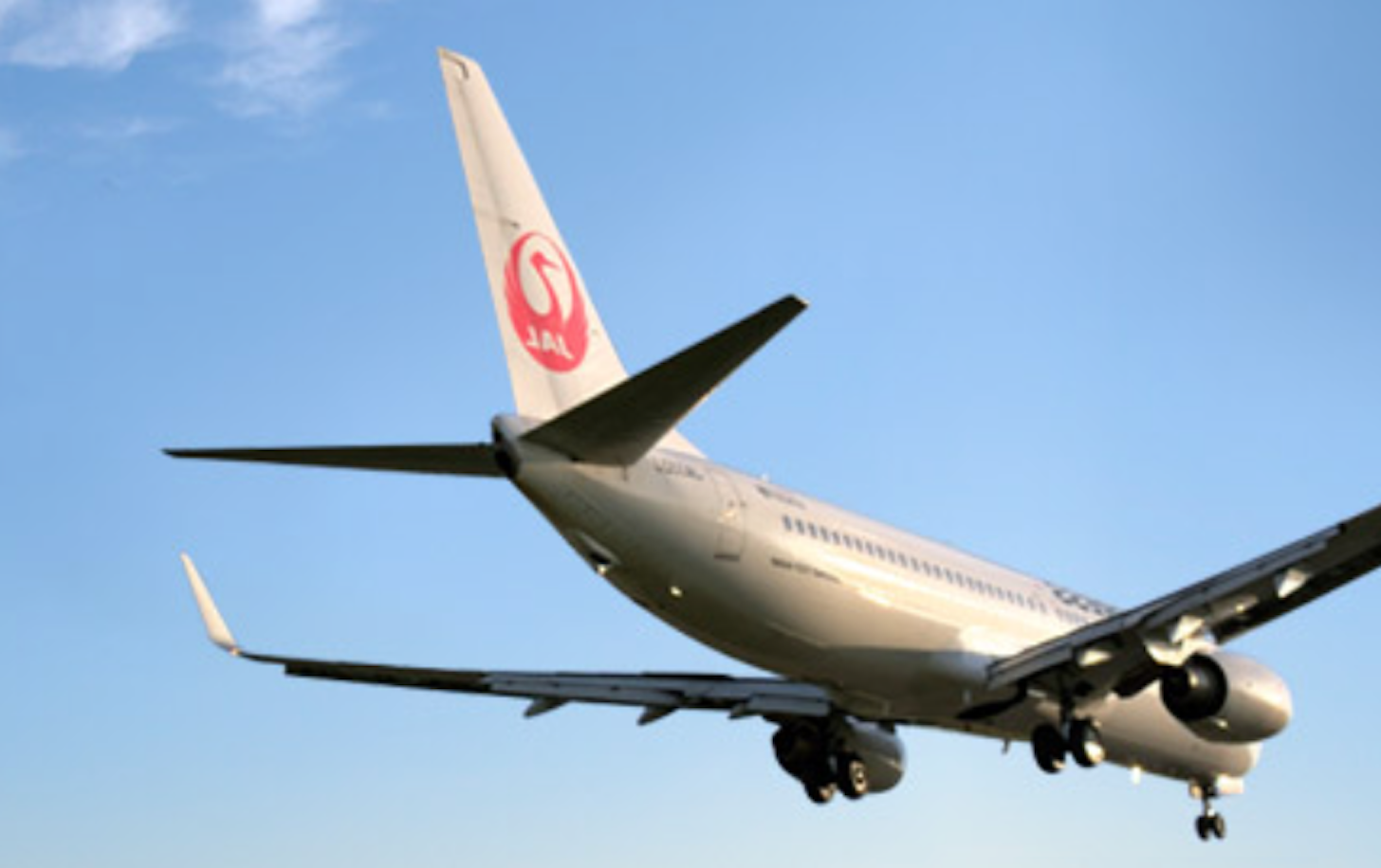 Israel and Stuff » jal-photo-courtesyIsrael and Stuff