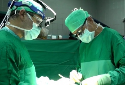 Israel and Stuff » Palestinian surgeons train in Israel, go to Gaza to ...