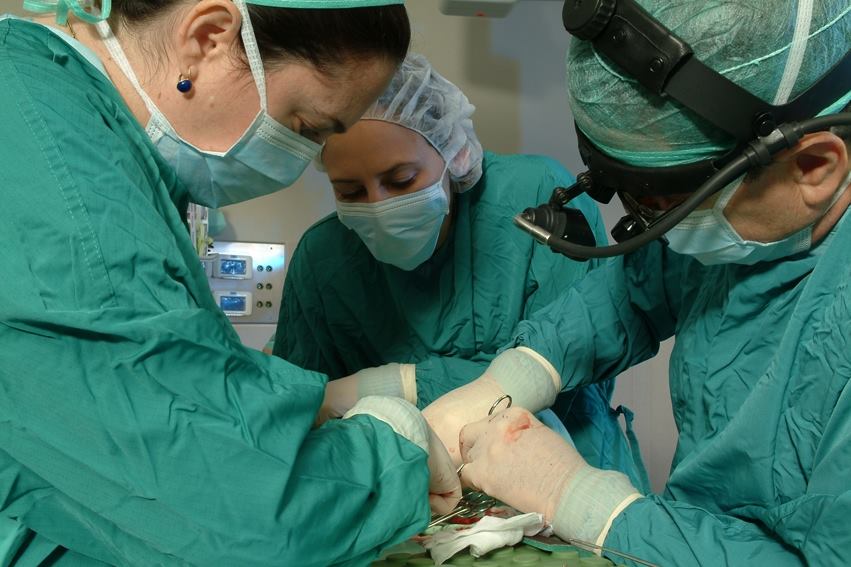 Israel and Stuff » Rambam surgeons first to implant new Israeli device ...